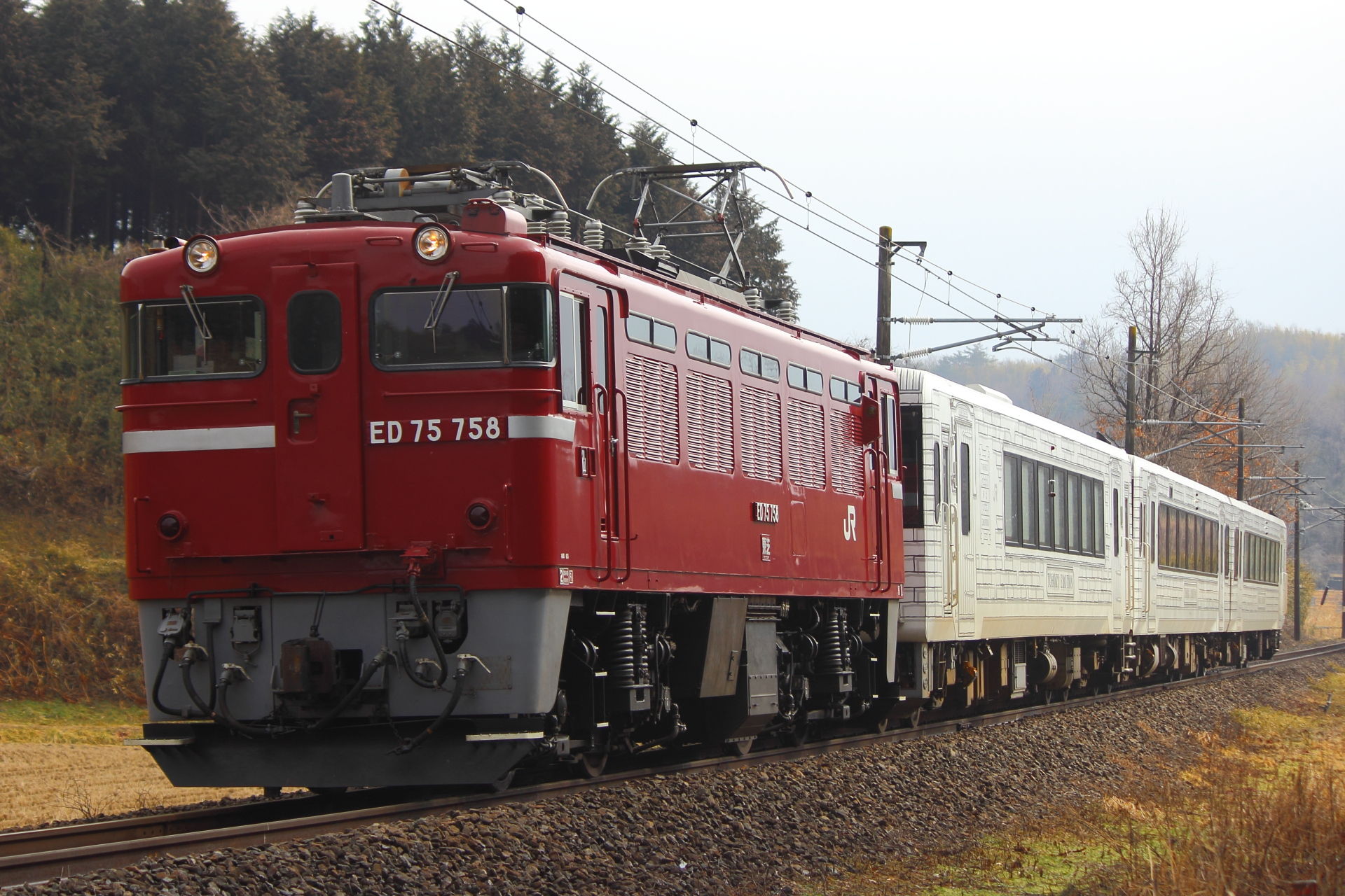 2017/2/23 「TOHOKU EMOTION」KY出場他 - 瞬を撮り上げる