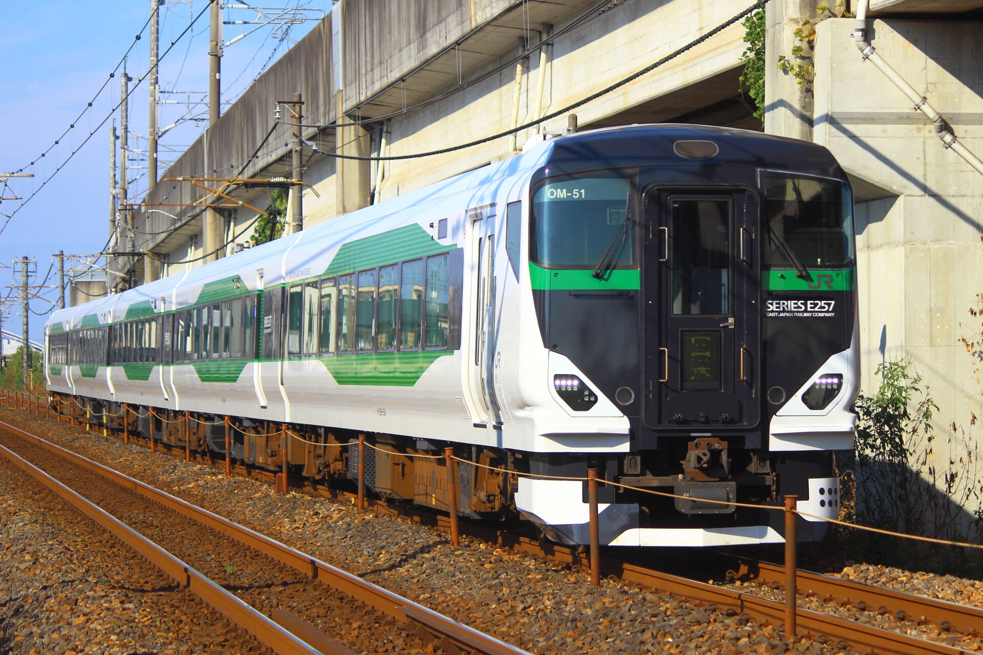 2021/10/11 E257系5500番台(OM-51)集約臨 - 瞬を撮り上げる