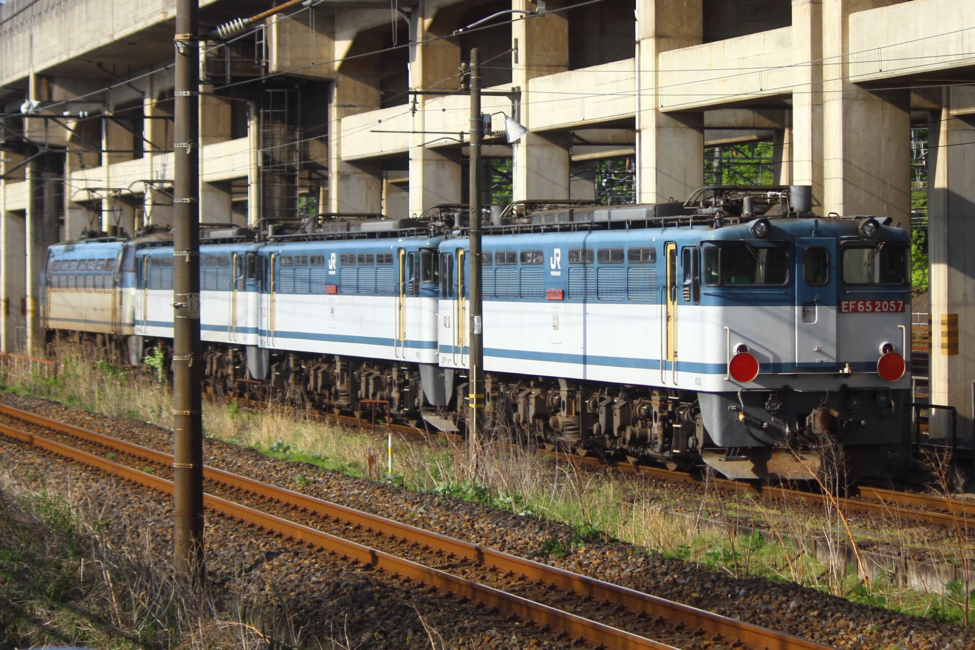 2022/4/30 EF65 2057・2117・2138廃車回送、カシオペア紀行返却 - 瞬を撮り上げる