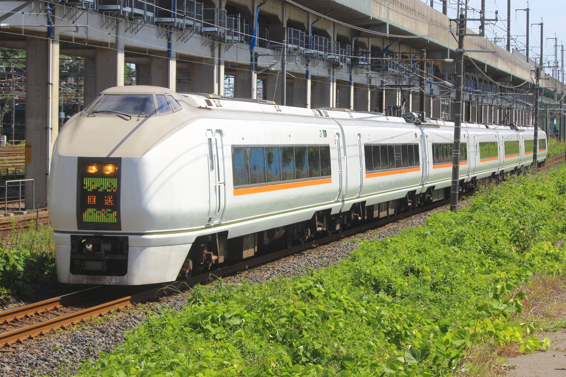 2023/6/4 651系(OM205)宇都宮疎開 - 瞬を撮り上げる