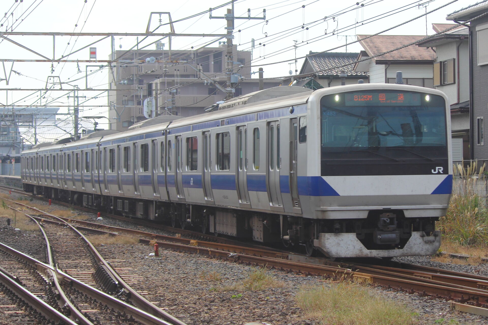 2023/11/2 E531系(K483)KY入場 - 瞬を撮り上げる