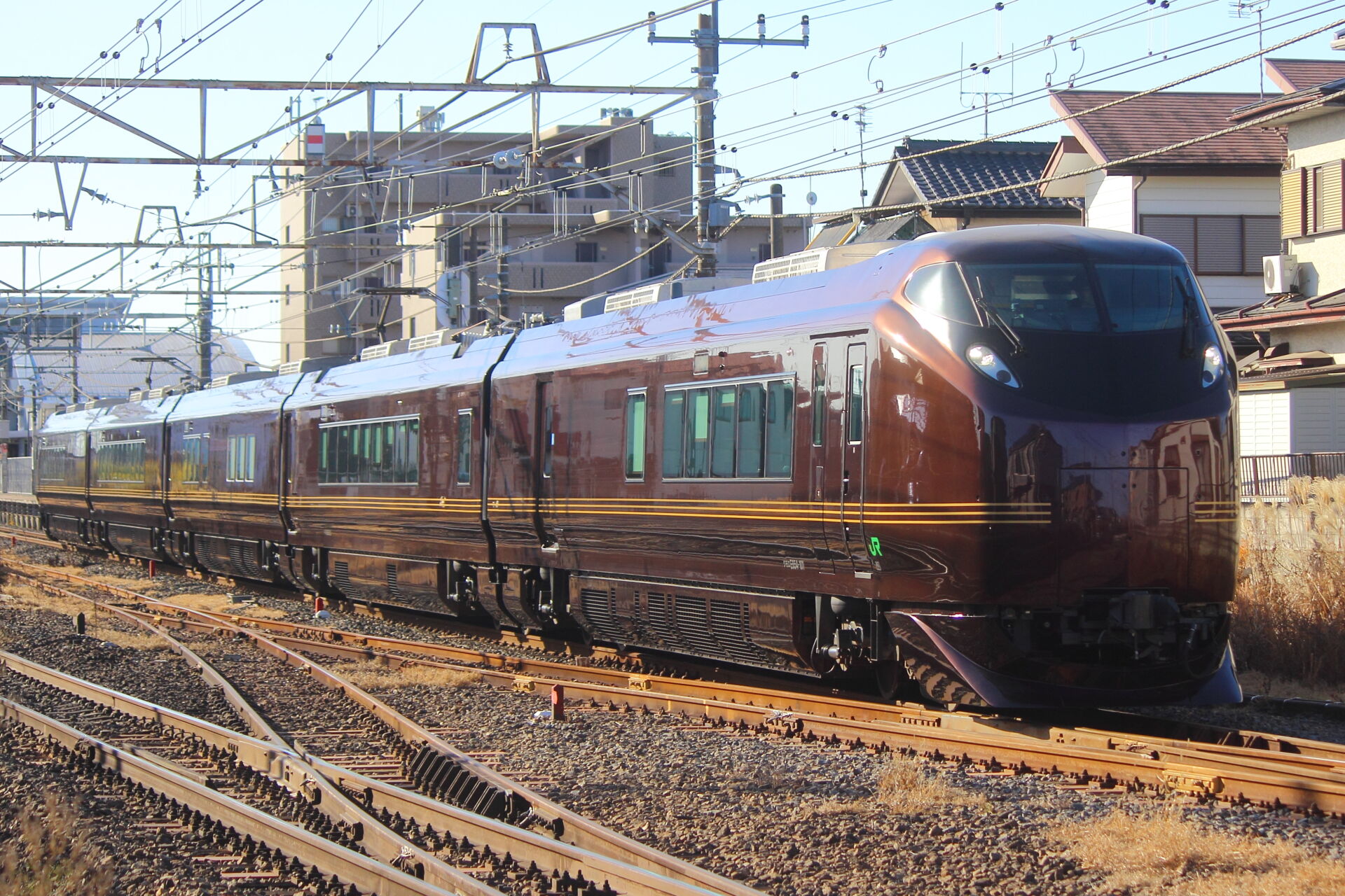 2024/1/1 E655系団臨 - 瞬を撮り上げる