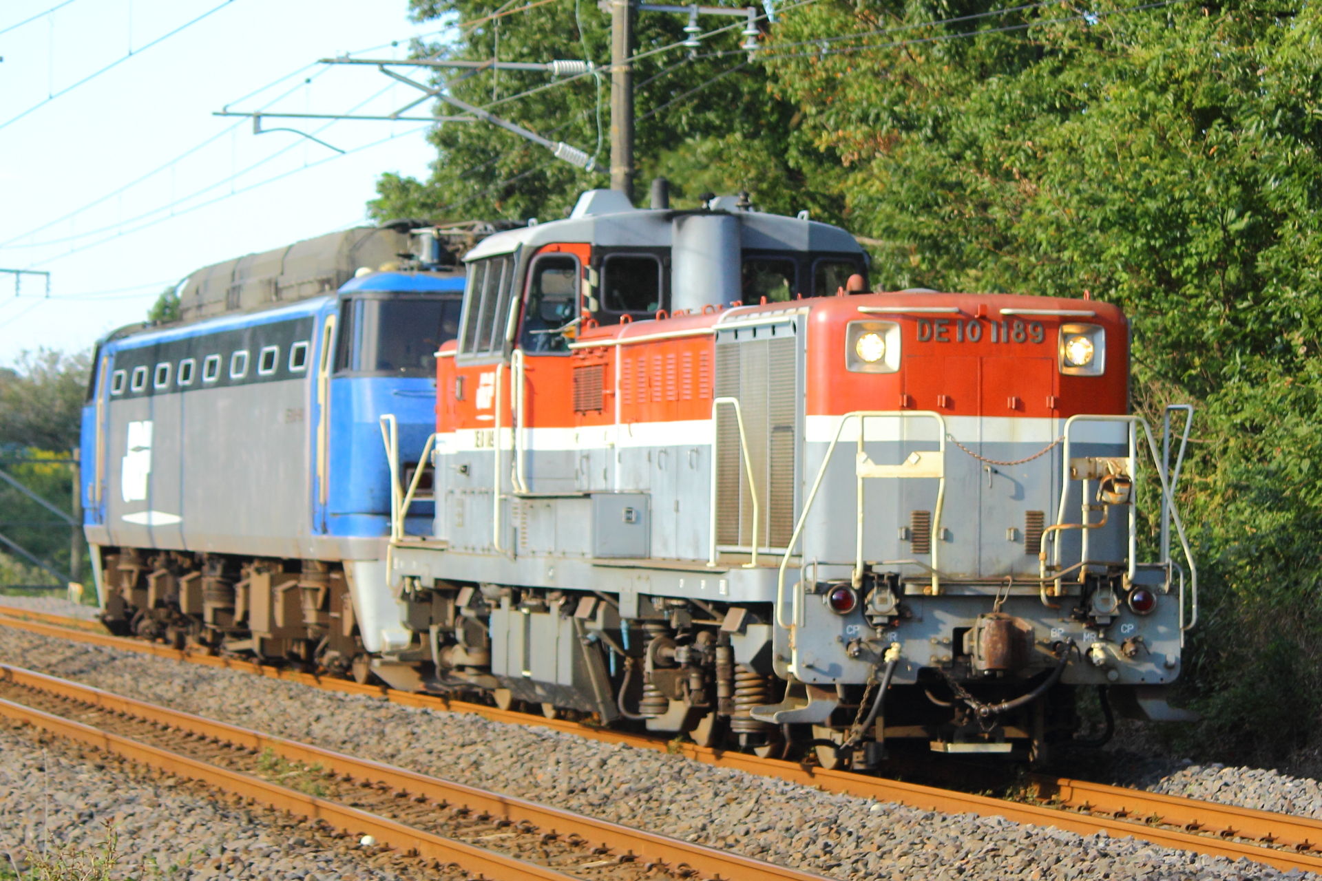 2016/10/16 EF200-901日立甲種等 - 瞬を撮り上げる