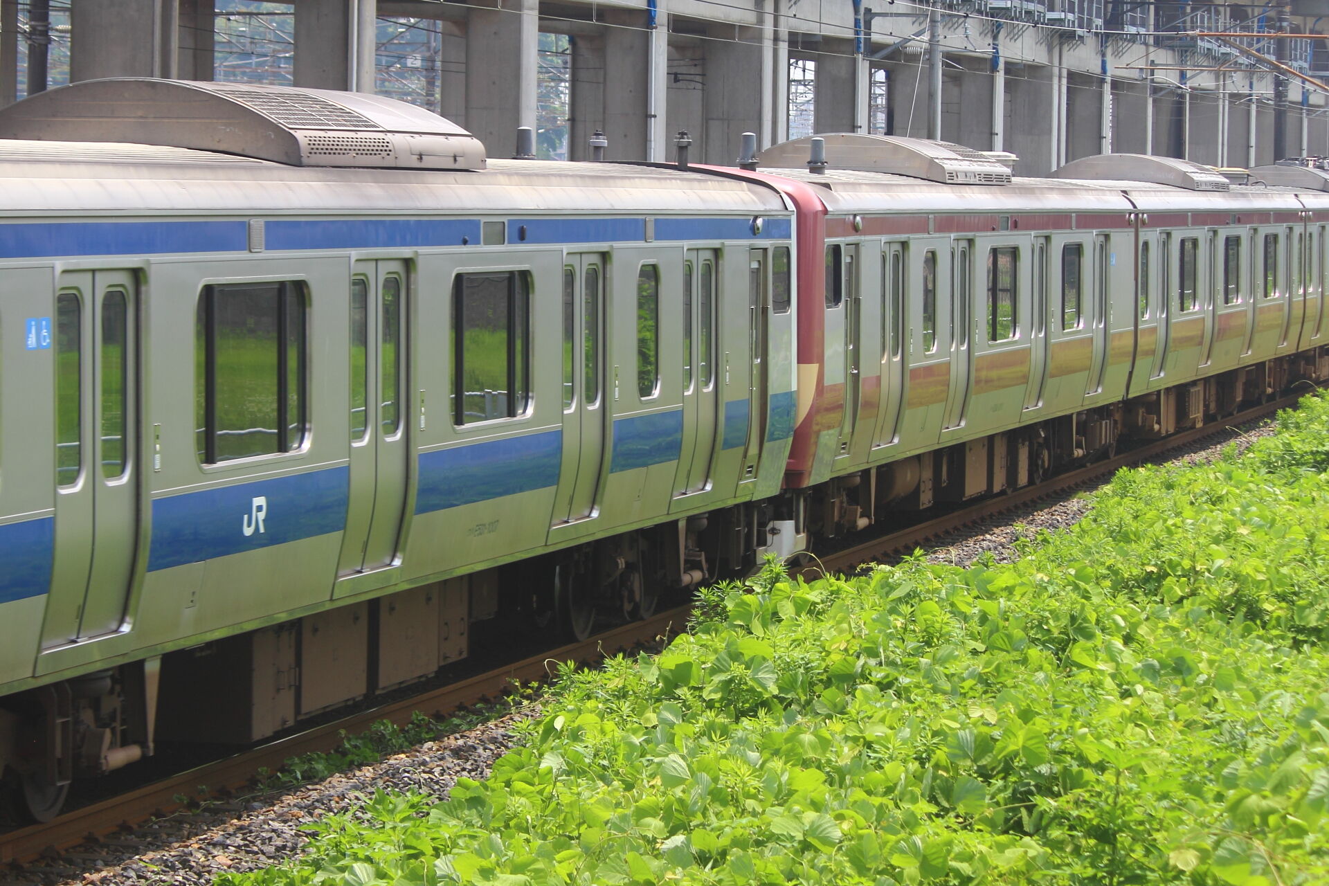 2023/6/28 E531系(K457+K451)KY入場 - 瞬を撮り上げる