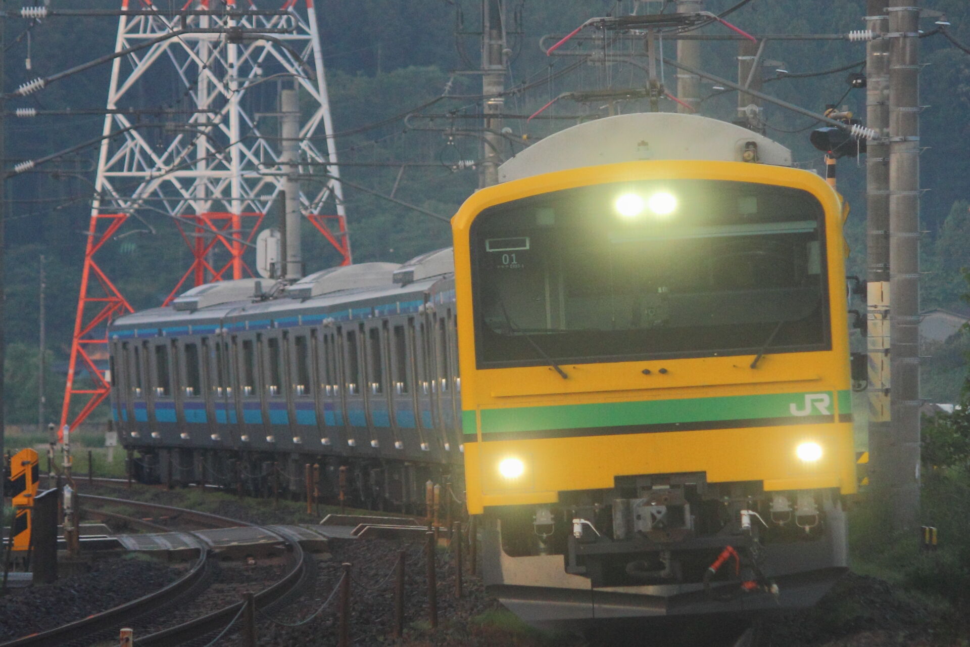 2025/6/5 E131系800番台(N1)新津配給 - 瞬を撮り上げる